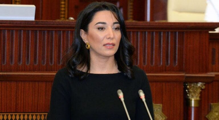 Syed Khurram Raza Kazmi appointed as Chief organizer of PMLQ Europe