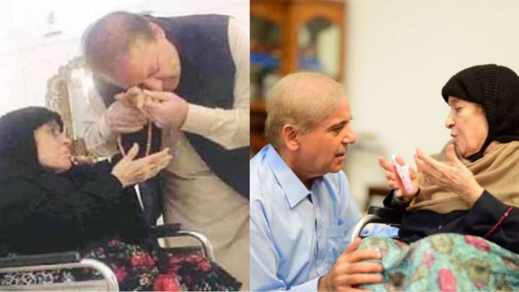 Single Use Plastic Prohibition Regulations 2023 approved: PM - ETNews