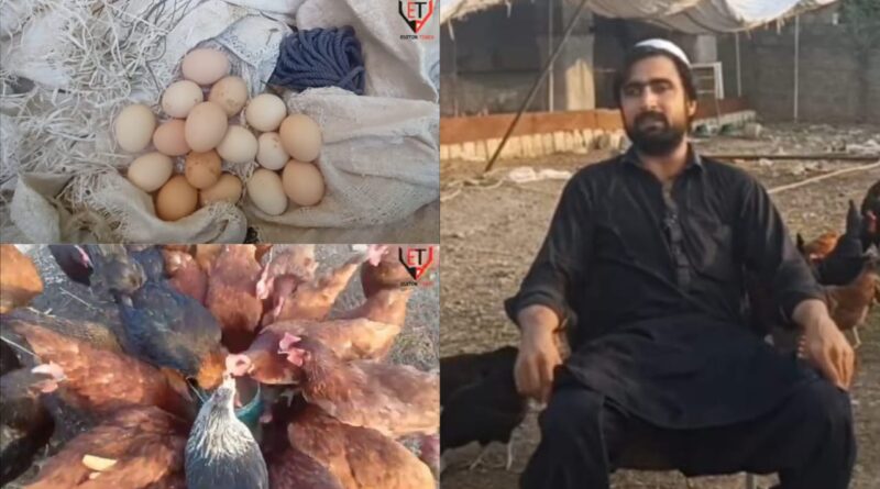 Civil engineer quit his job in Dubai and starts poultry farming ...